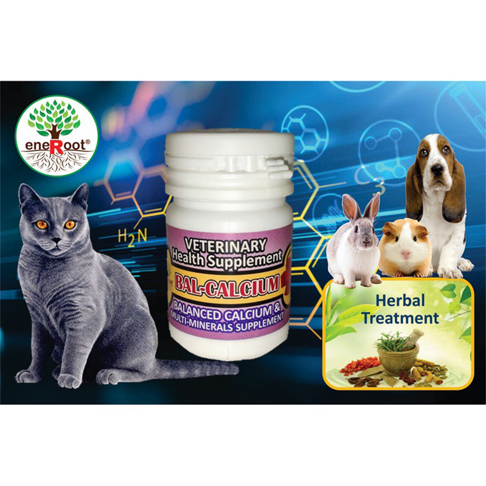 Pets Supplement Calcium Powder 30g - Wonder House